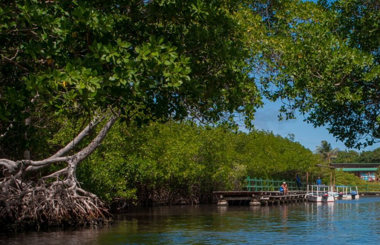 Laguna_de_La_Restinga_National_Park – Visiontravel